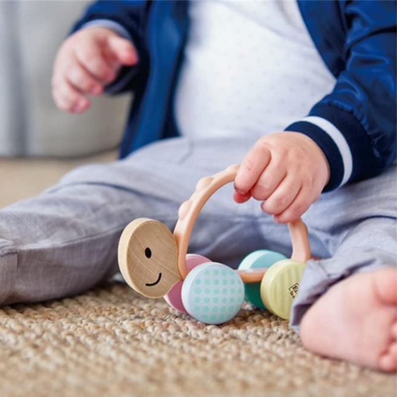 Wooden Turbo Turtle - Beautiful Gifts NZ | Fun, Safe, Eco-Friendly Toy ...